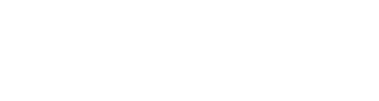 Niger Télécom – Pour mieux vous servir